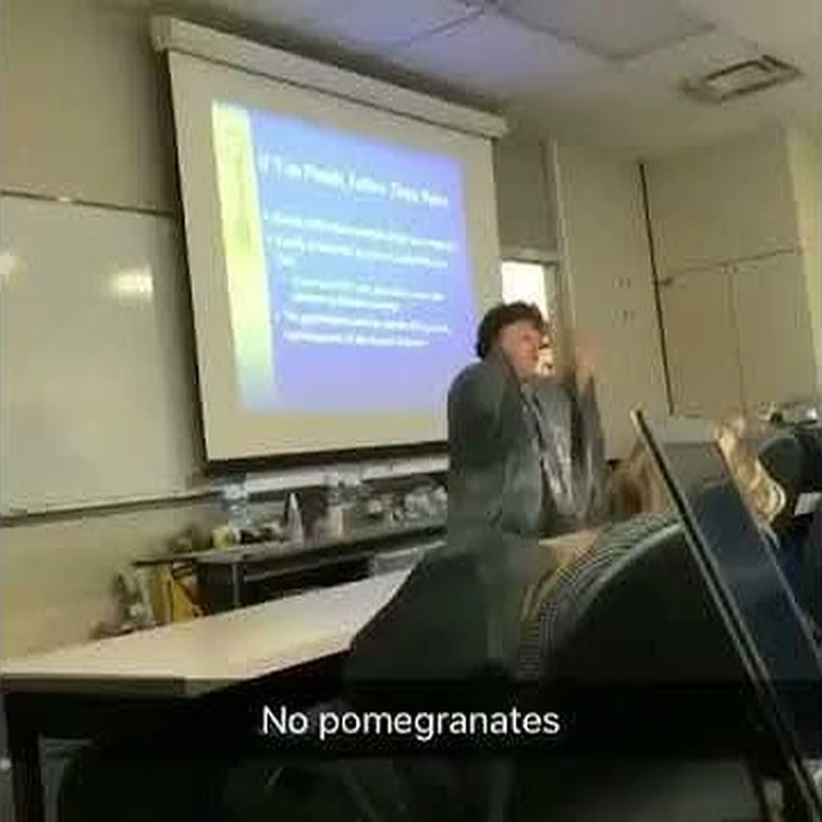 NO POMEGRANATES | Fandom