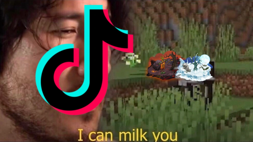 Tiktok has gone insane so here's a msm meme | Fandom
