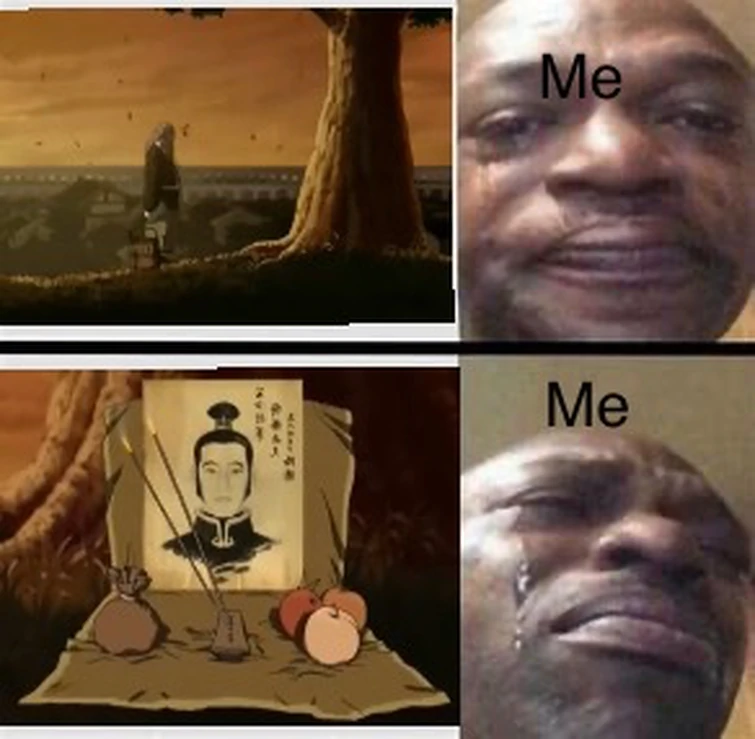 ATLA/TLOK memes | Fandom