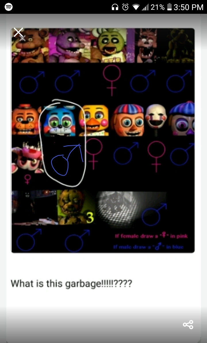 Meet maronet and her home (me) | Fandom