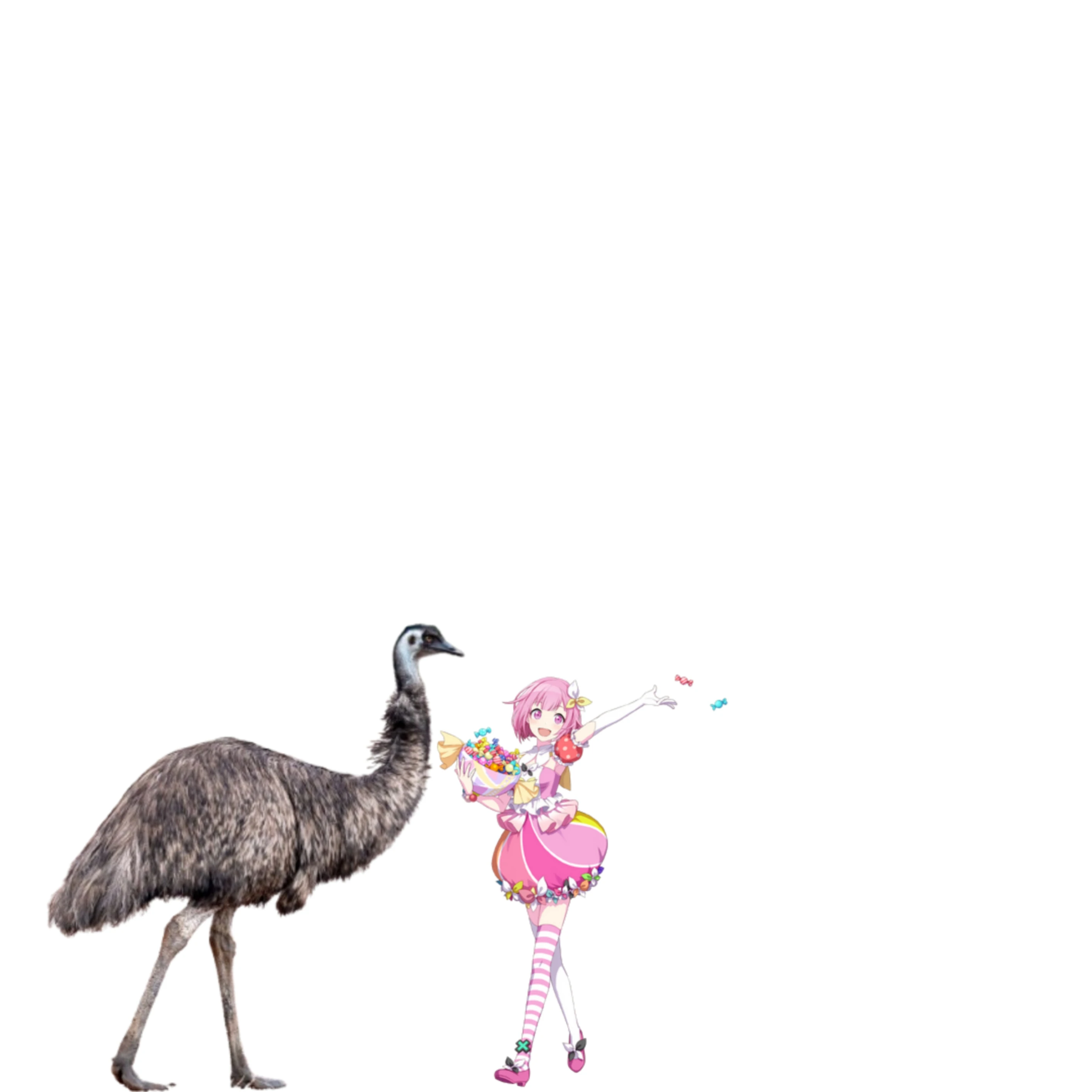 Emu Otori height compared to a real emu | Fandom