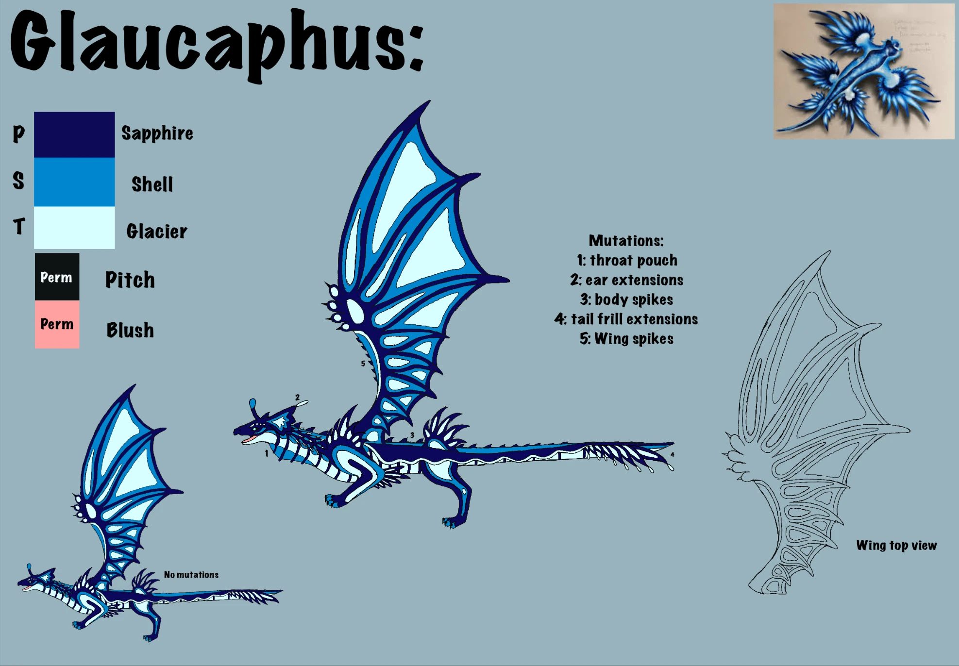 Almost done with the glauc! Now With Animation Notes! | Fandom