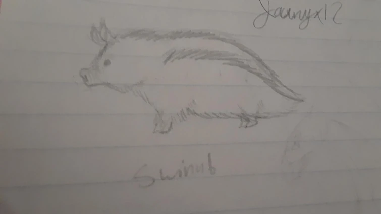 Swinub and Evolutions | Fandom