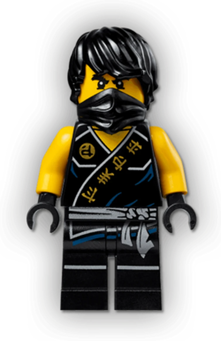 (Master of Earth) The Cole Ninjago Experience | Fandom