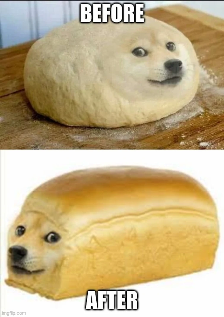 bread | Fandom