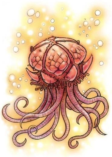 Discuss Everything About Wookieepedia | Fandom