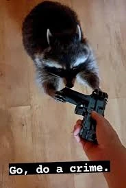 daily meme #179: gun | Fandom