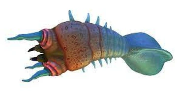 Discuss Everything About Subnautica Wiki | Fandom