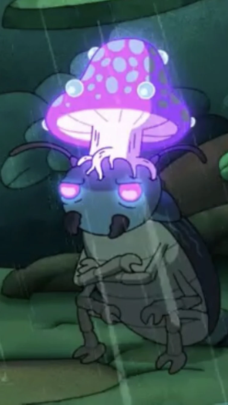 Discuss Everything About Amphibia Wiki | Fandom