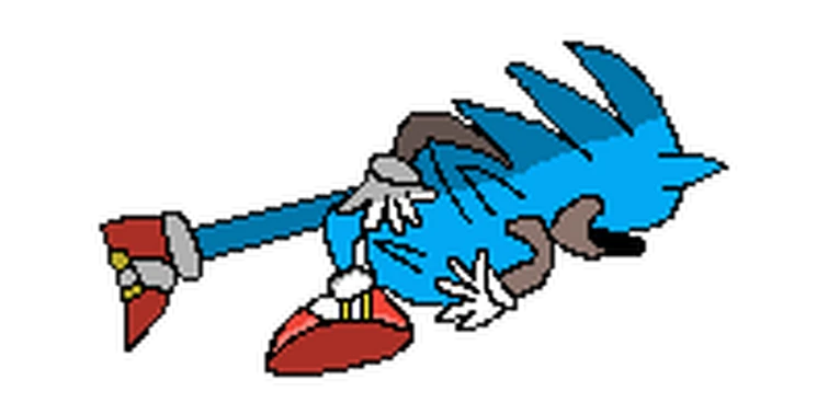 Sonic the Hedgehog? More like Sonic the I-Fell-Over-on-a-Rock-Hog! | Fandom