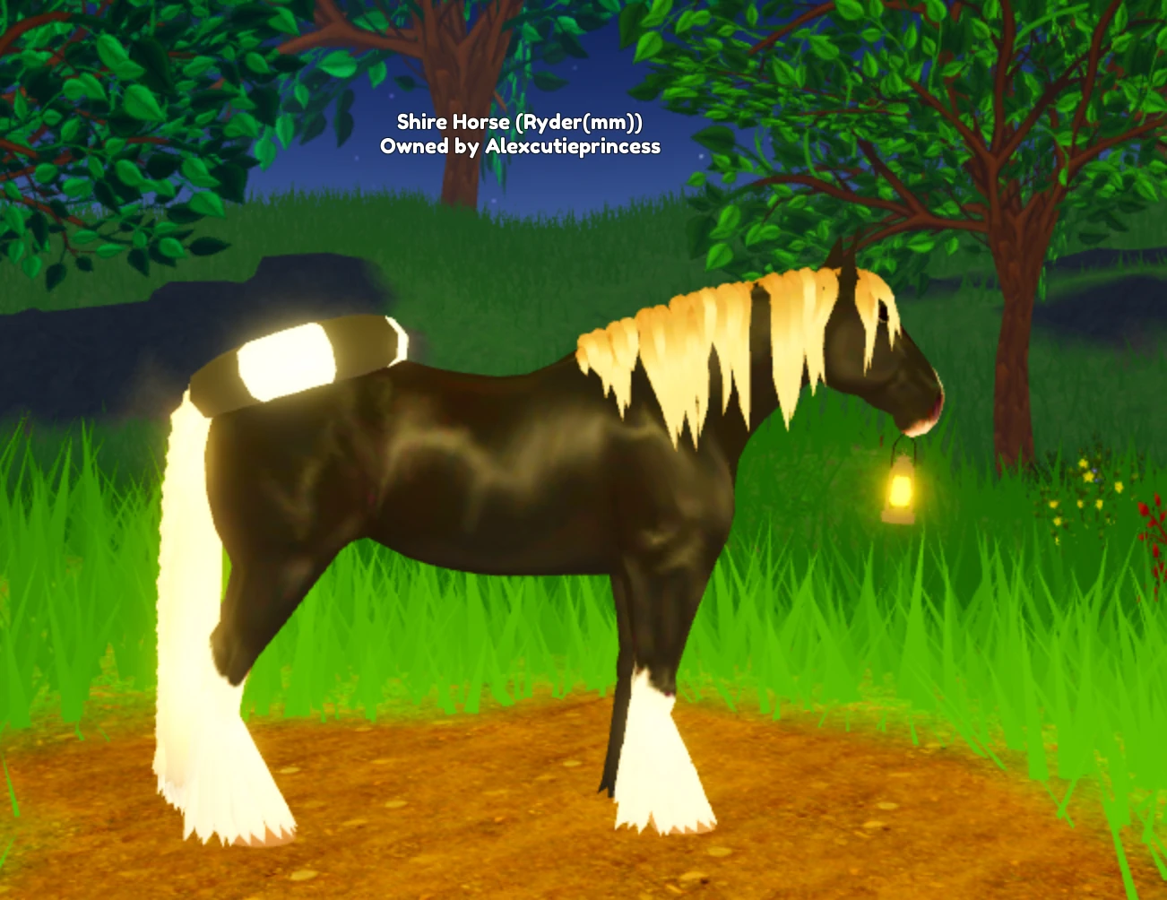 Meet my new mm | Fandom