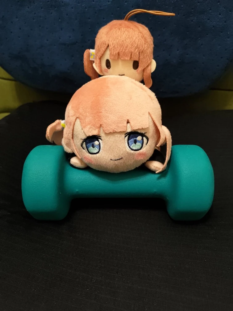 Plushie pictures from JP twitter | Fandom