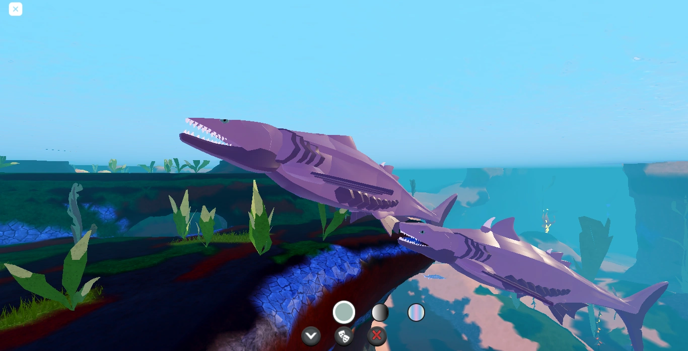 shark attack | Fandom