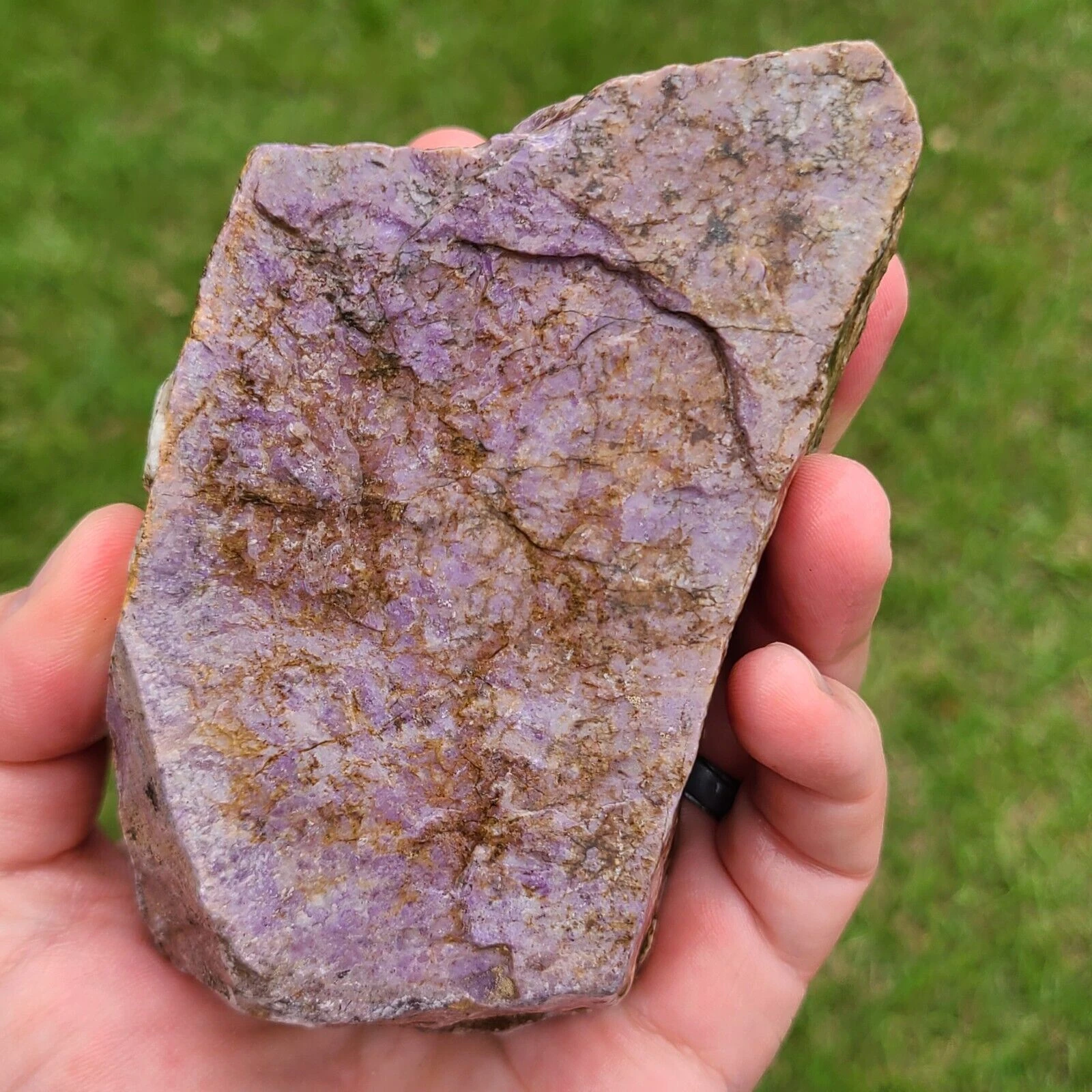 OMG IS THAT PEBBLE IN REAL LIEF!!??! | Fandom