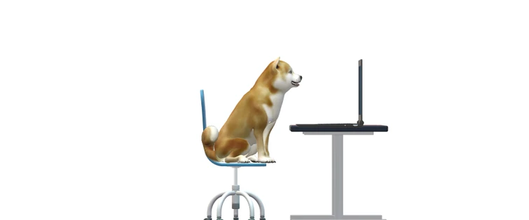 Discuss Everything About DataBase Cats Wiki | Fandom