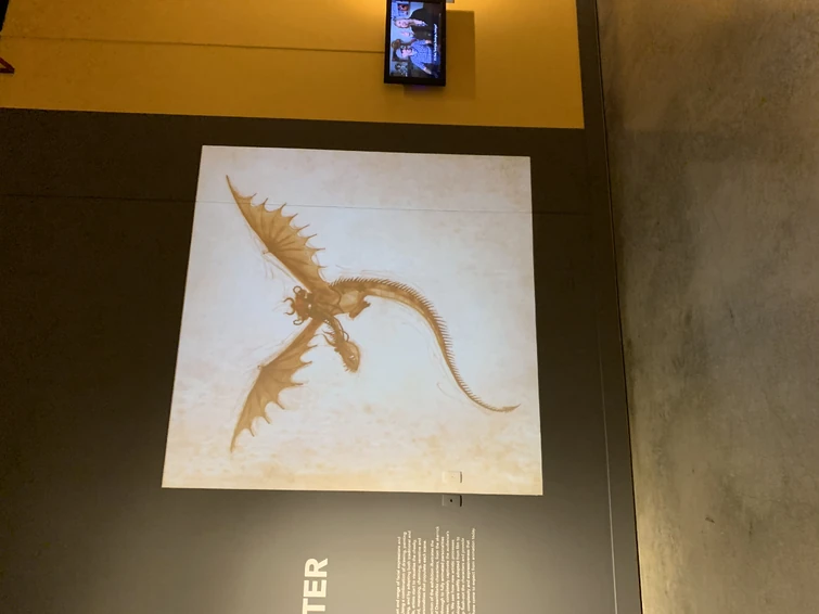 HTTYD Exhibition | Fandom