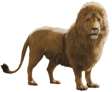 Arceus VS Aslan (Pokémon VS Chronicles of Narnia | Fandom