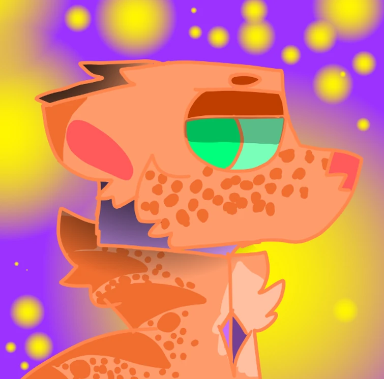 show of your cutest ocs | Fandom