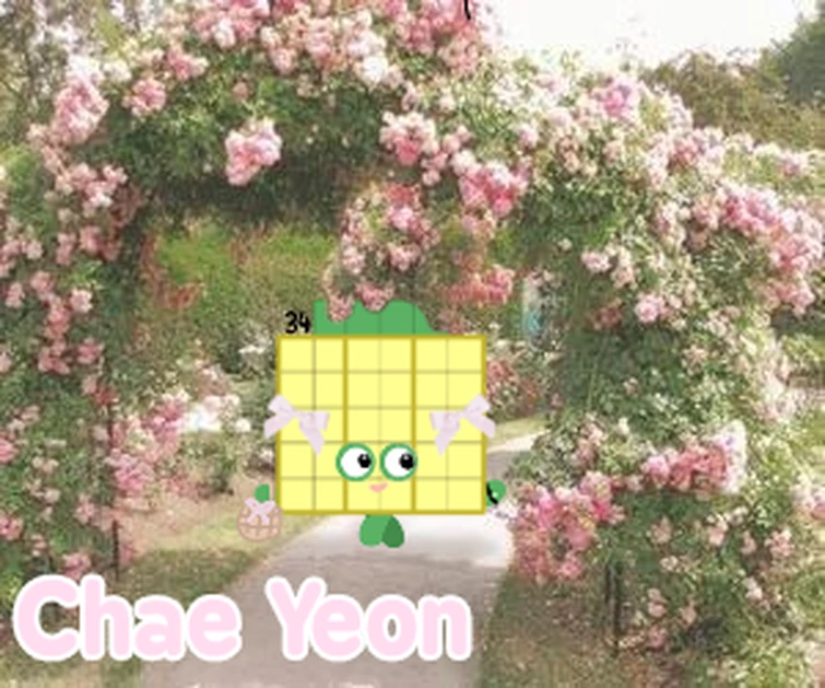 more of chaeyeon🩷 (numberblocks 34) | Fandom