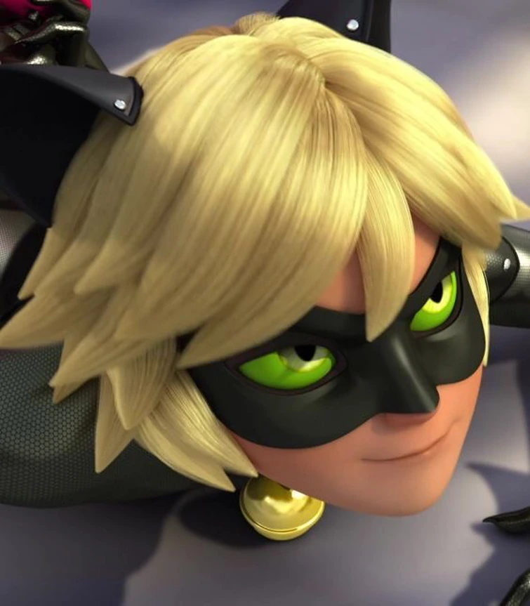 What do you think of Chat Noir simps in the fandom. | Fandom