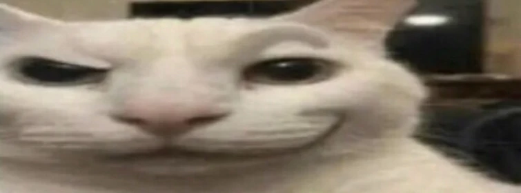 Guys that awesome dude with the triple marker pfp turned me into a cat ...