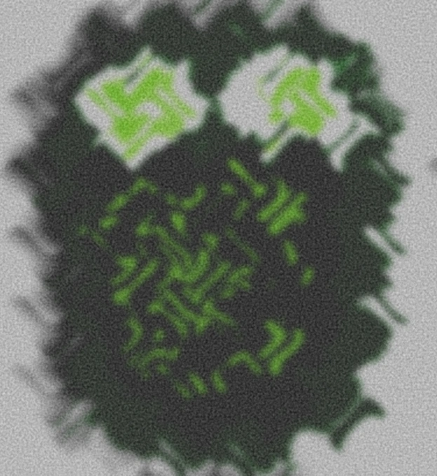 surge and nightmare surge remake | Fandom