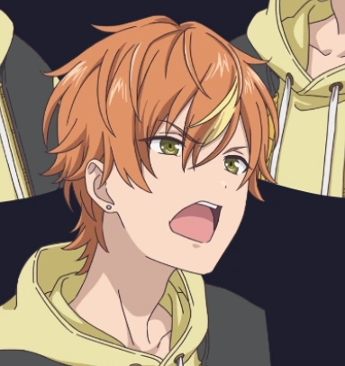 whenever i look at this expression I think of akito with sonic the ...