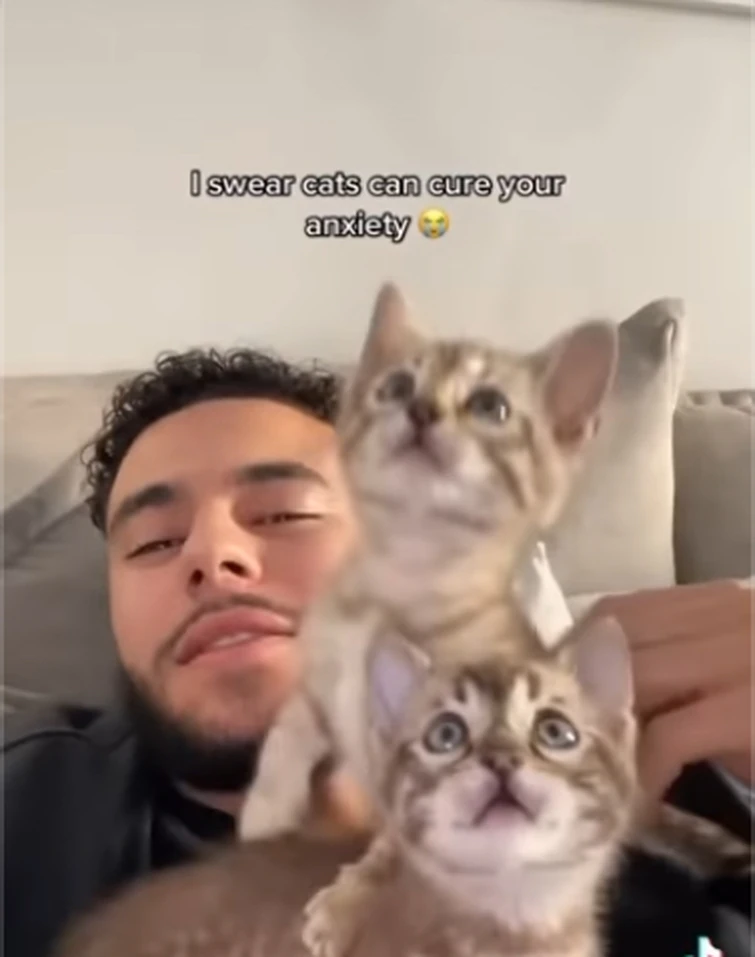 Send me funny memes! | Fandom