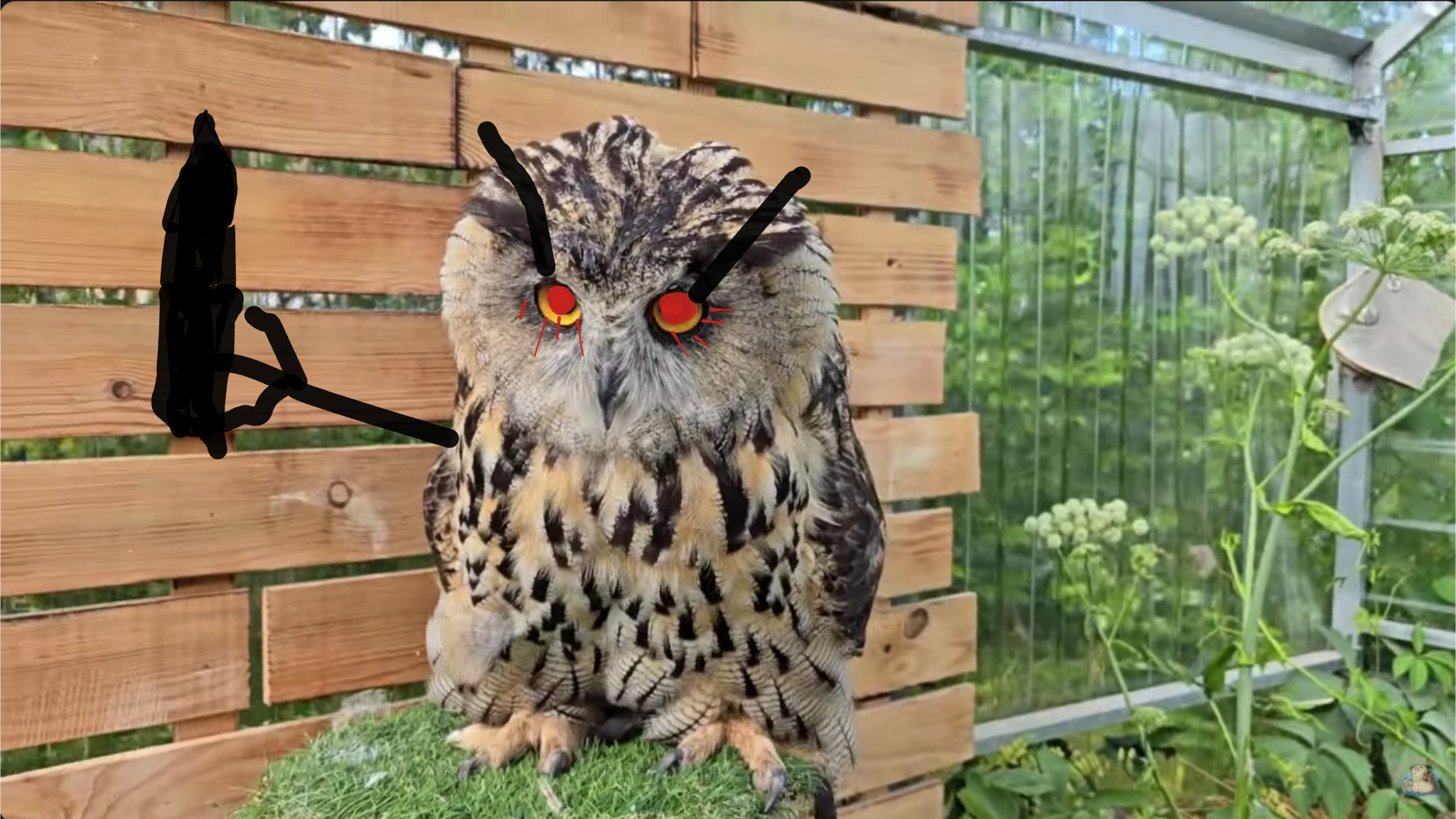 Don't use the PC2 Wiki on March 18th | Fandom