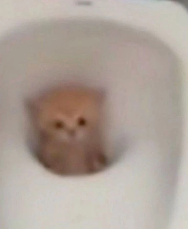 Selling leg color potion!! | Fandom