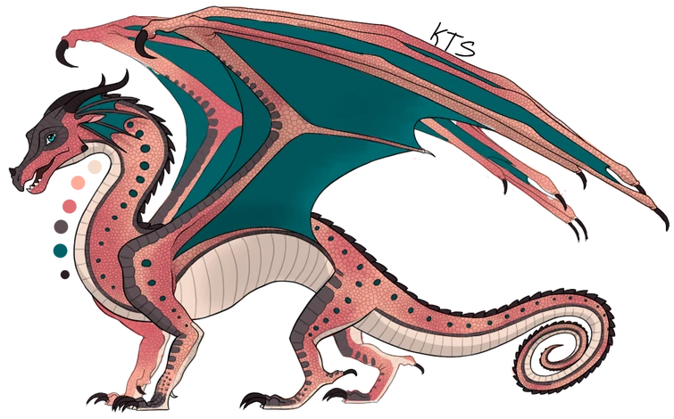 10 rainwing adopt | Fandom