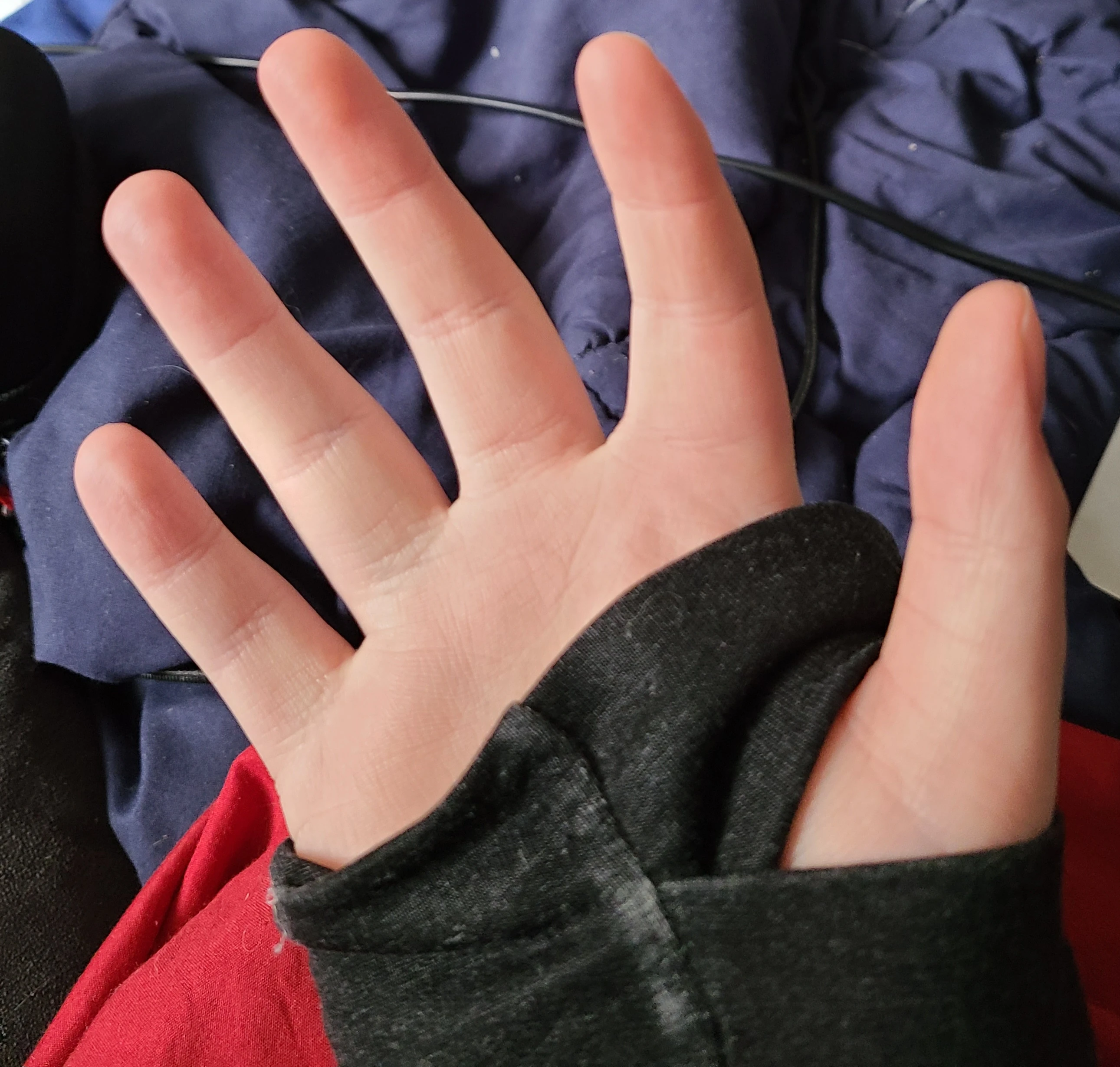Lexi hand jumpscare | Fandom