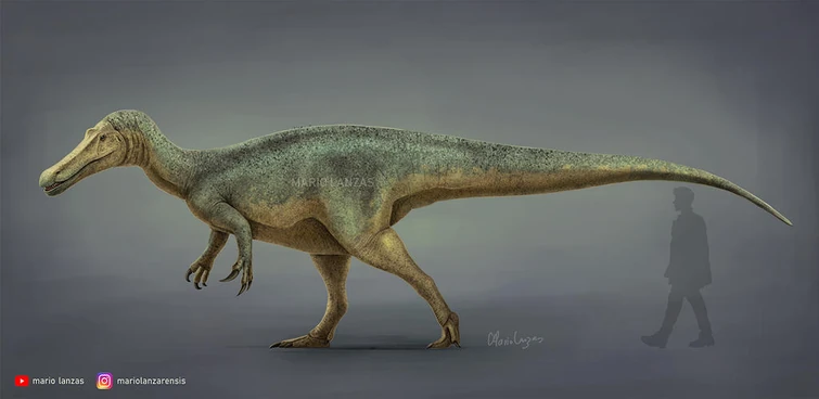 Baryonyx is a awesome animal and is highly underappreciated! Art by ...