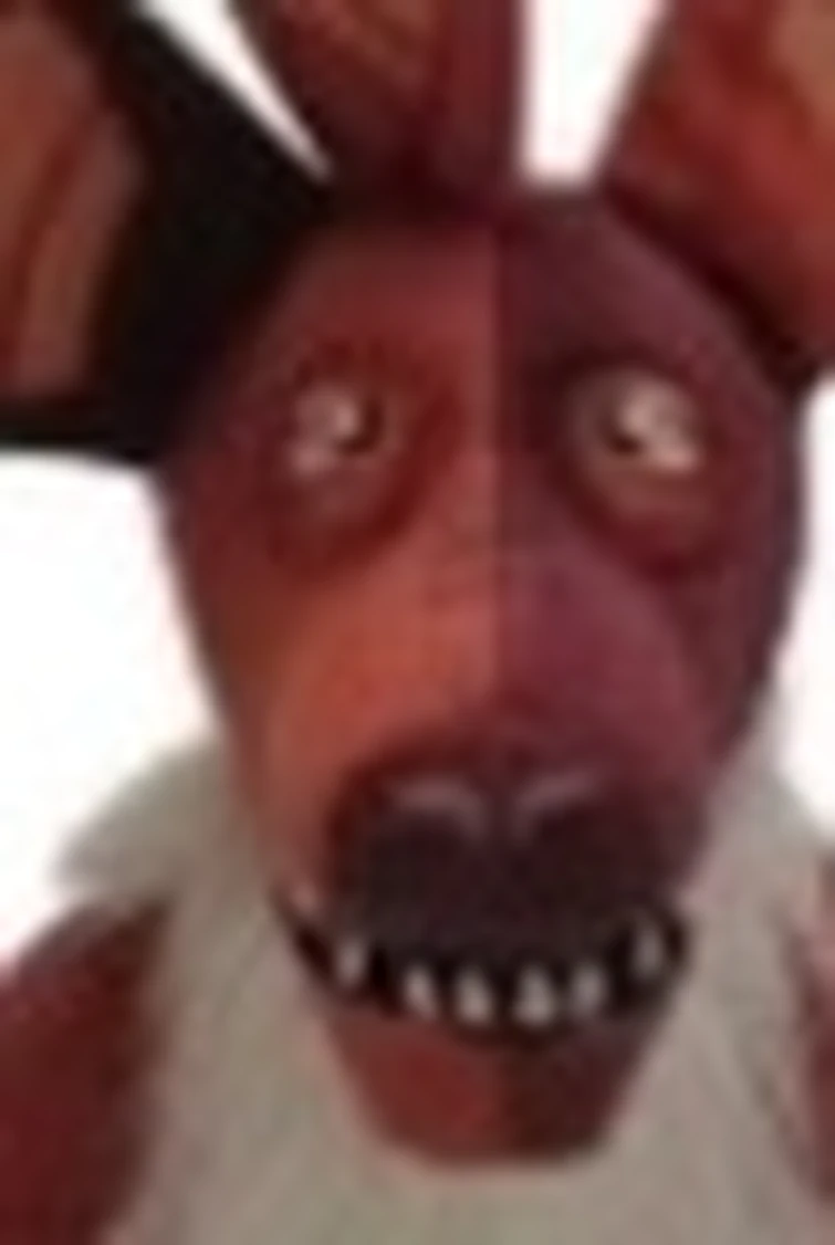 Cursed Plushies | Fandom