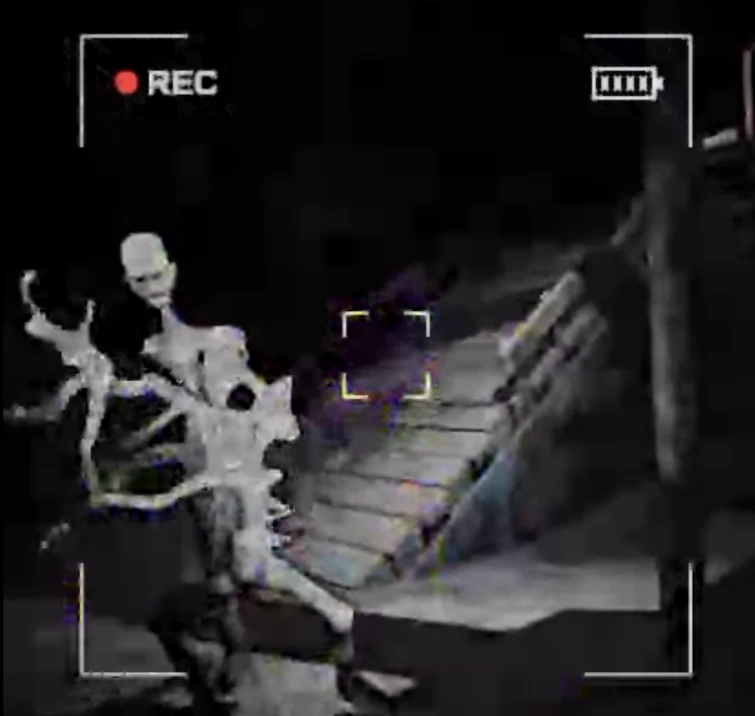 Discuss Everything About Content Warning Wiki | Fandom