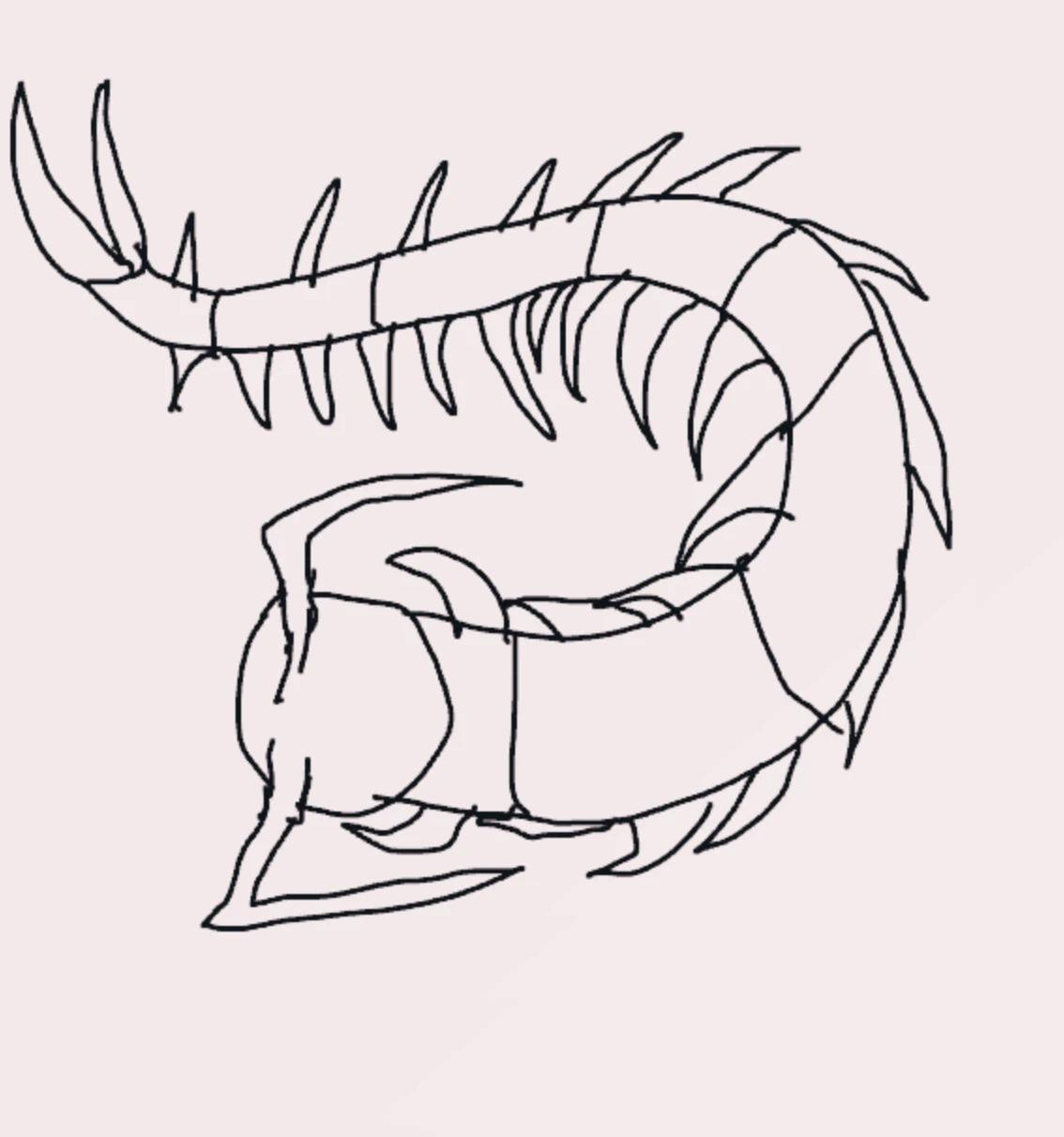 Centipede drawing I made in speed draw | Fandom