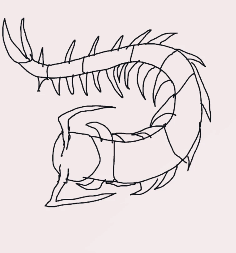 Centipede drawing I made in speed draw | Fandom