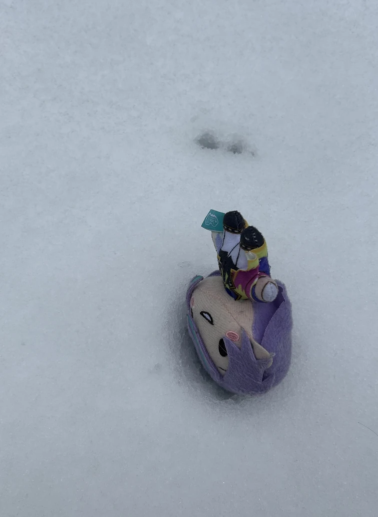 little rui-chans snow adventure!!!! | Fandom