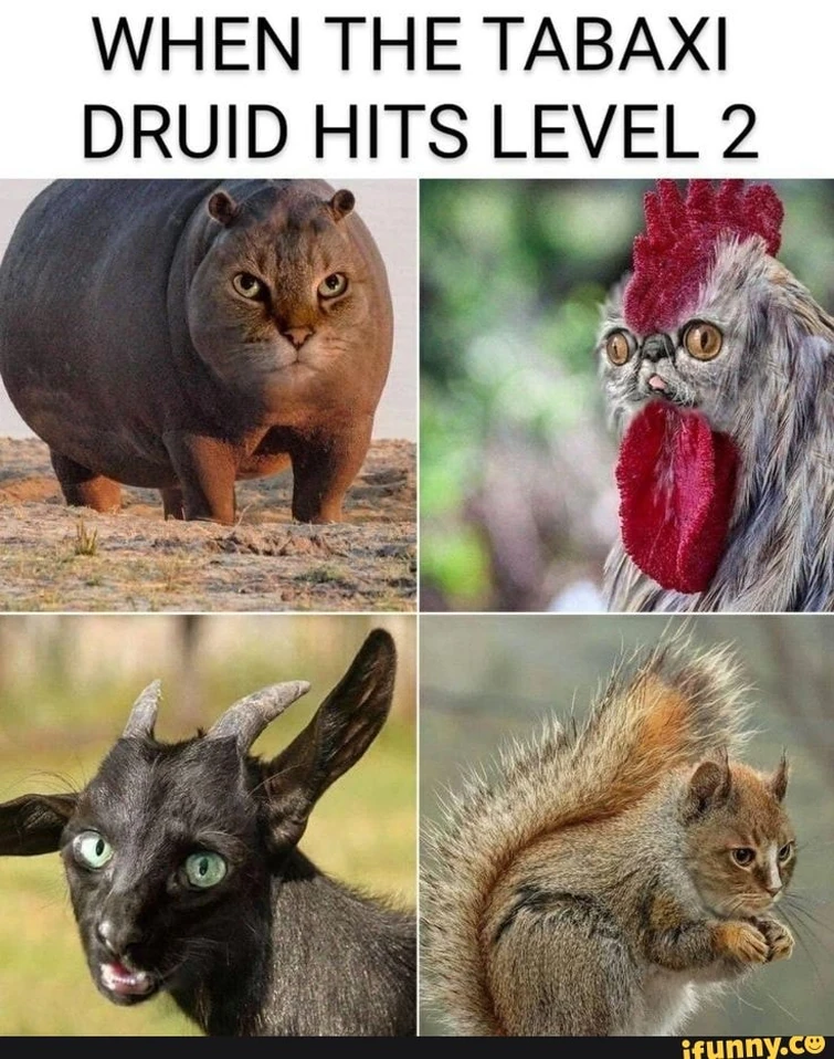 A weirdly cursed meme | Fandom