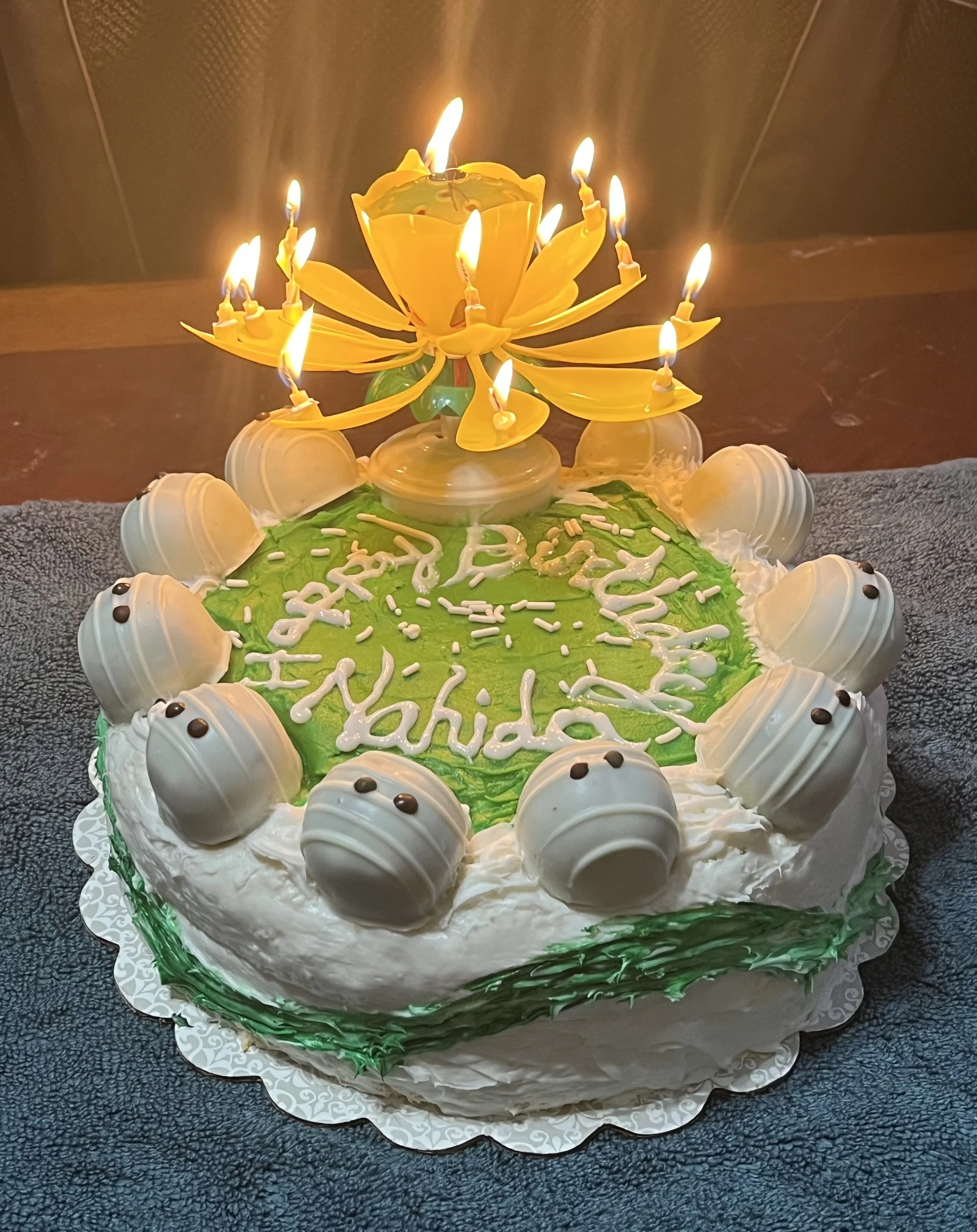HAPPY BIRTHDAY NAHIDA!! (cake) | Fandom