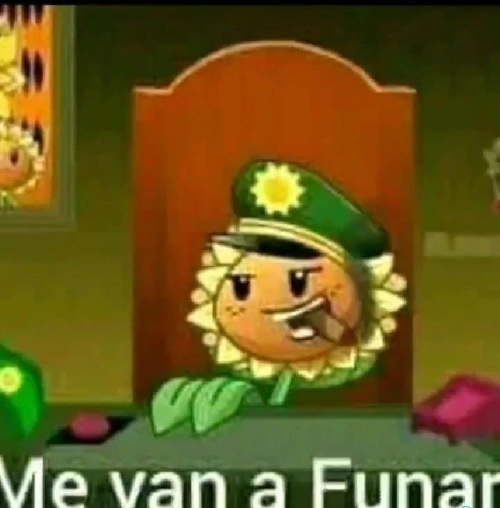 When te van a funar :vxdxdxdxd | Fandom