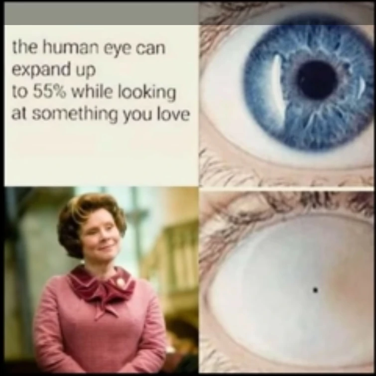 Teaspoon range of Hp memes | Fandom