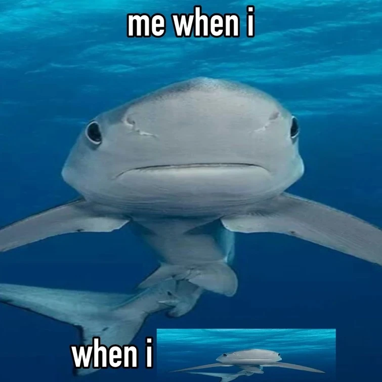 Guys cmon 😢 | Fandom