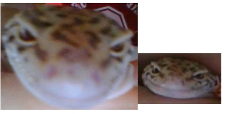 Salrahn redesign!! | Fandom