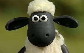 the sheep is here | Fandom