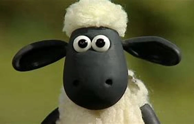 the sheep is here | Fandom