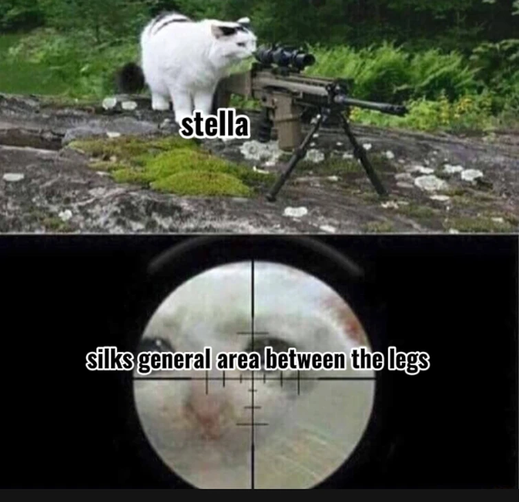 DOMAIN roleplay chat center: wiki revival | Fandom