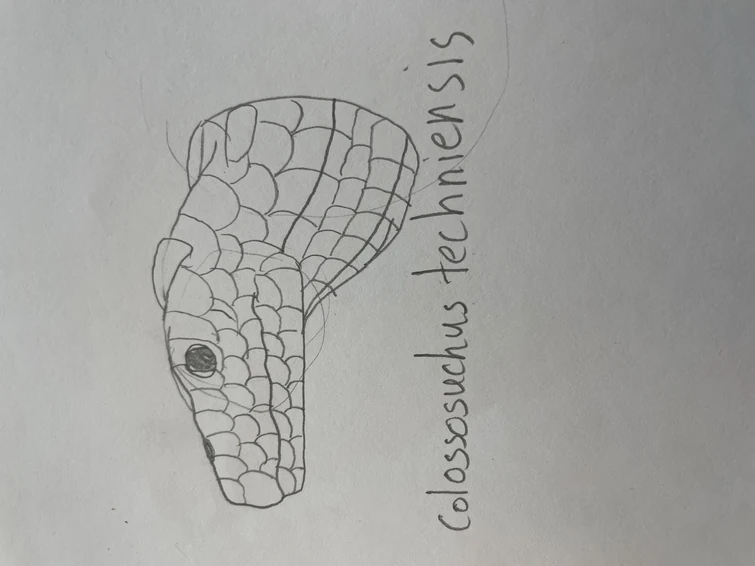Colossosuchus | Fandom