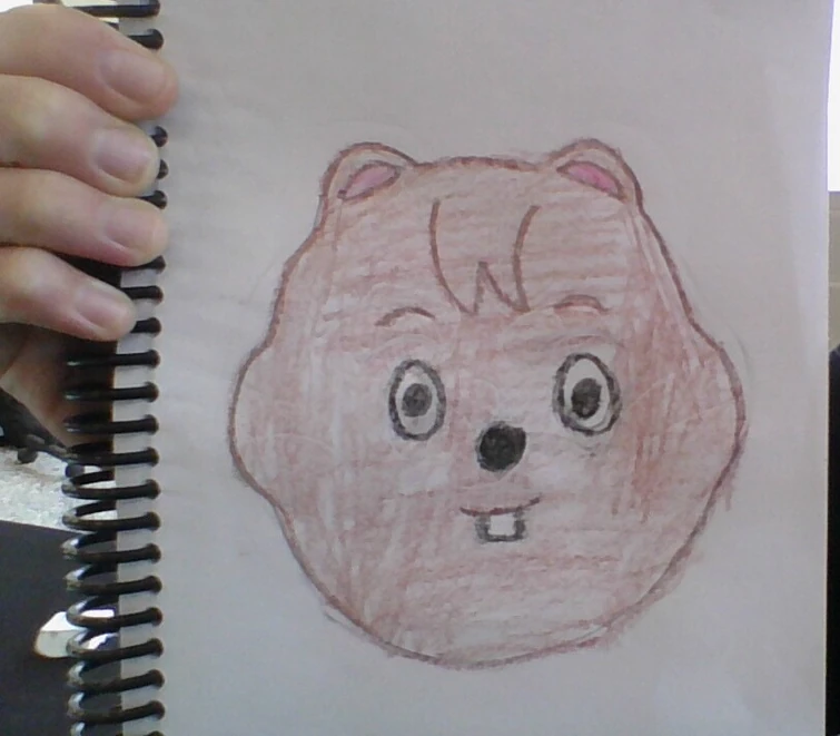 I drew skzoo!!! | Fandom