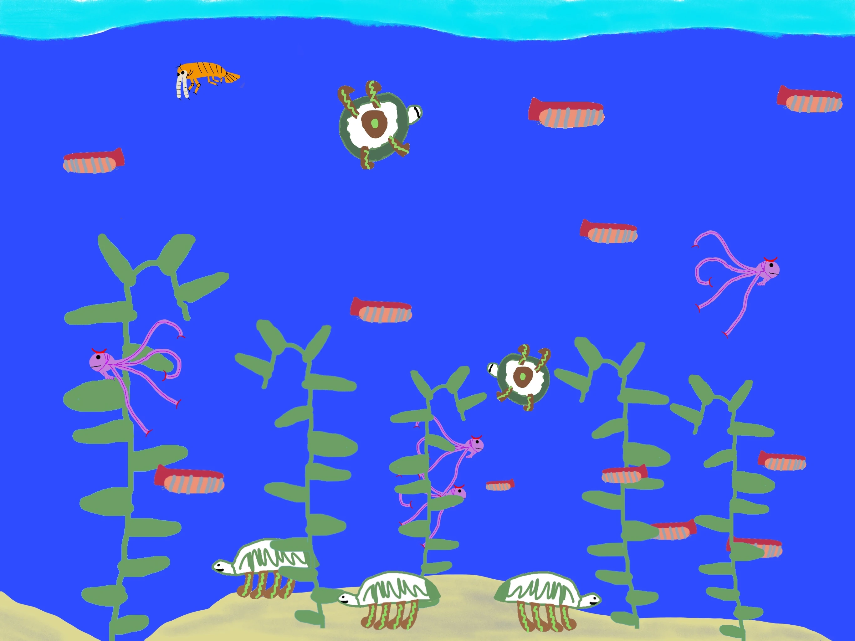 Dod Sealife | Fandom